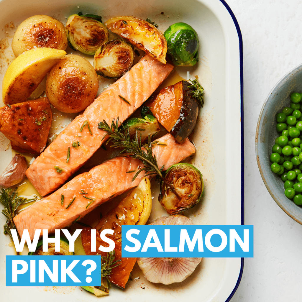 The Facts about Tasmanian Atlantic Salmon - Tassal Aussie Seafood