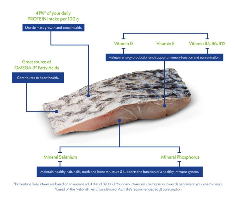18485-Tassal-Barramundi-Diagram-WITHOUT-HEADINGS50-1024x875 - Tassal ...